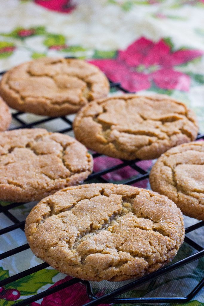 Molasses Cookies